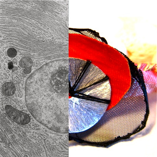 Cell / Matter « La B Design